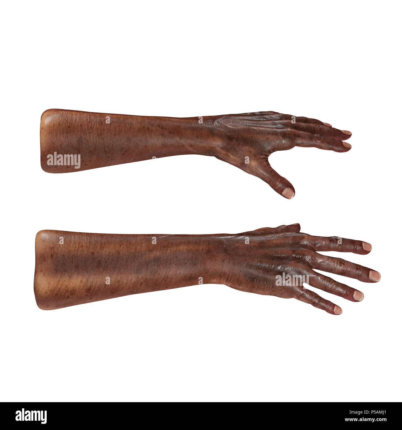 3d african american hands Cut Out Stock Images & Pictures - Alamy