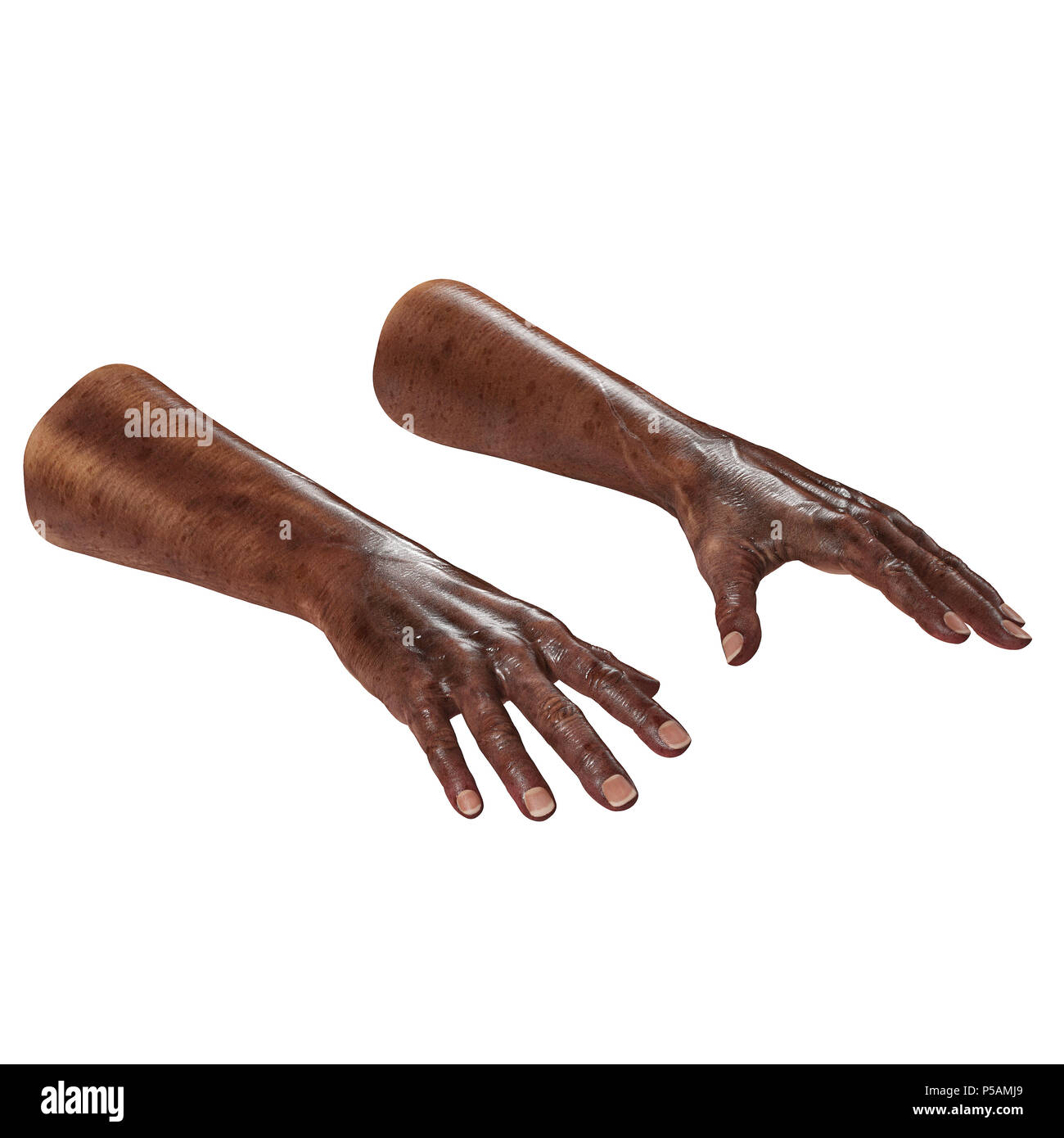 3d african american hands Cut Out Stock Images & Pictures - Alamy