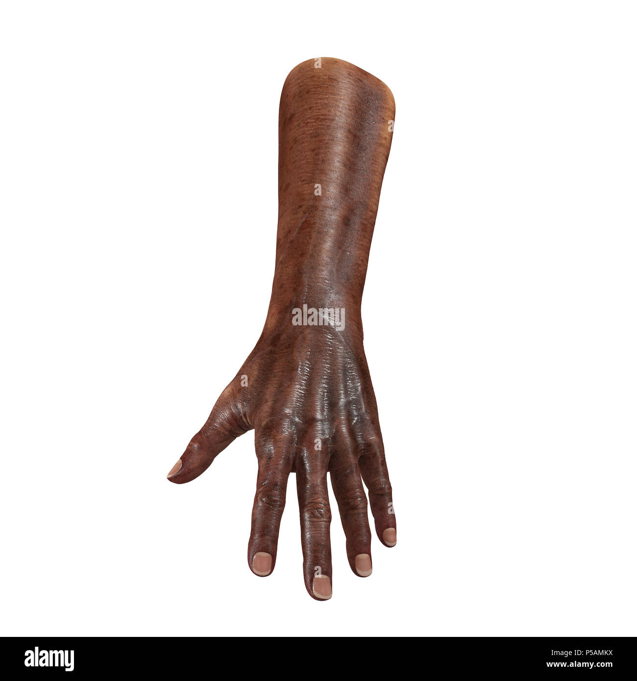 Old african hand on a white. 3D illustration Stock Photo - Alamy