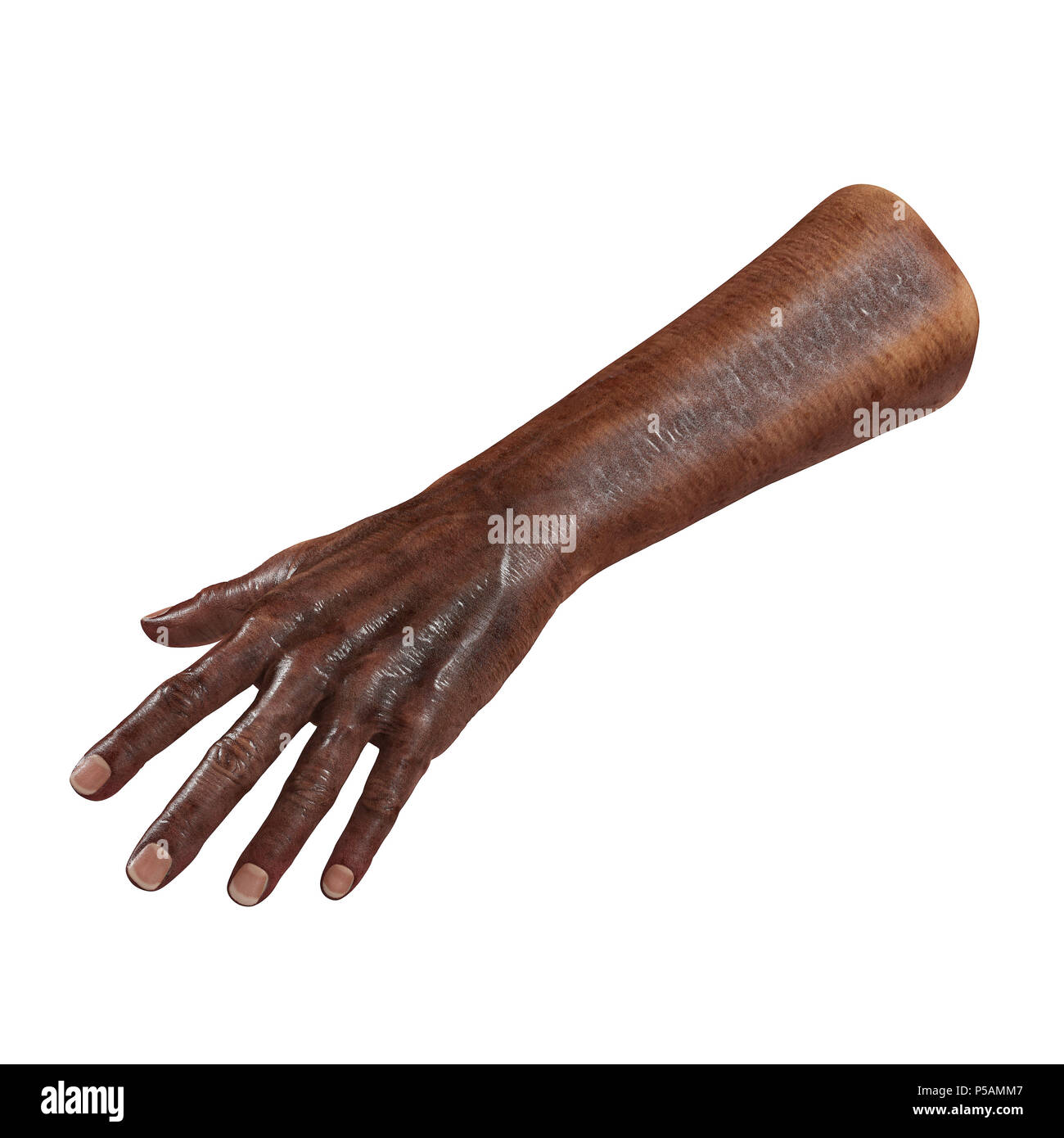 Old african hand on a white. 3D illustration Stock Photo - Alamy