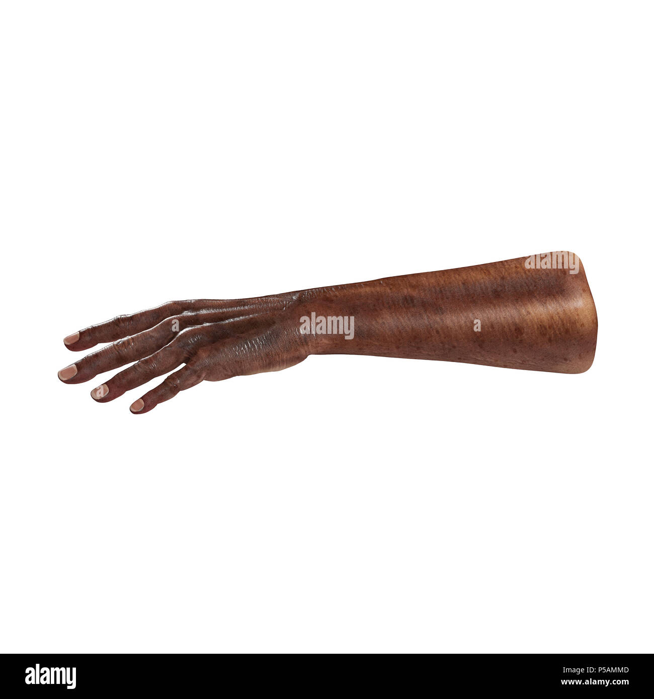 Old african hand on a white. 3D illustration Stock Photo - Alamy