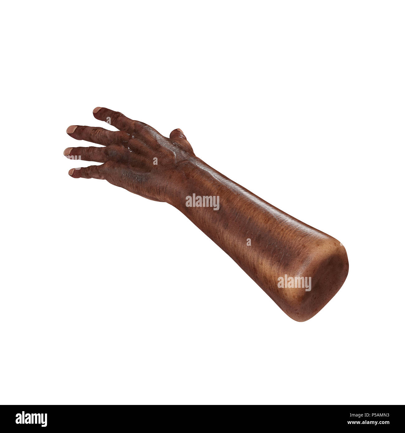3d african american hands Cut Out Stock Images & Pictures - Alamy