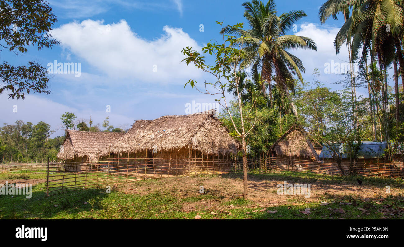 Coconut trees andaman nicobar islands hi-res stock photography and ...