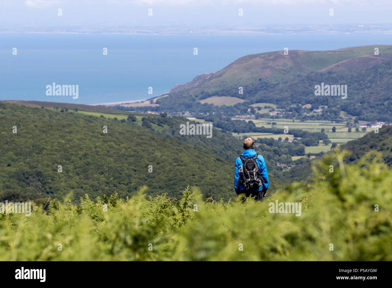 Hiking in Exmoor National Forest Stock Photo - Alamy