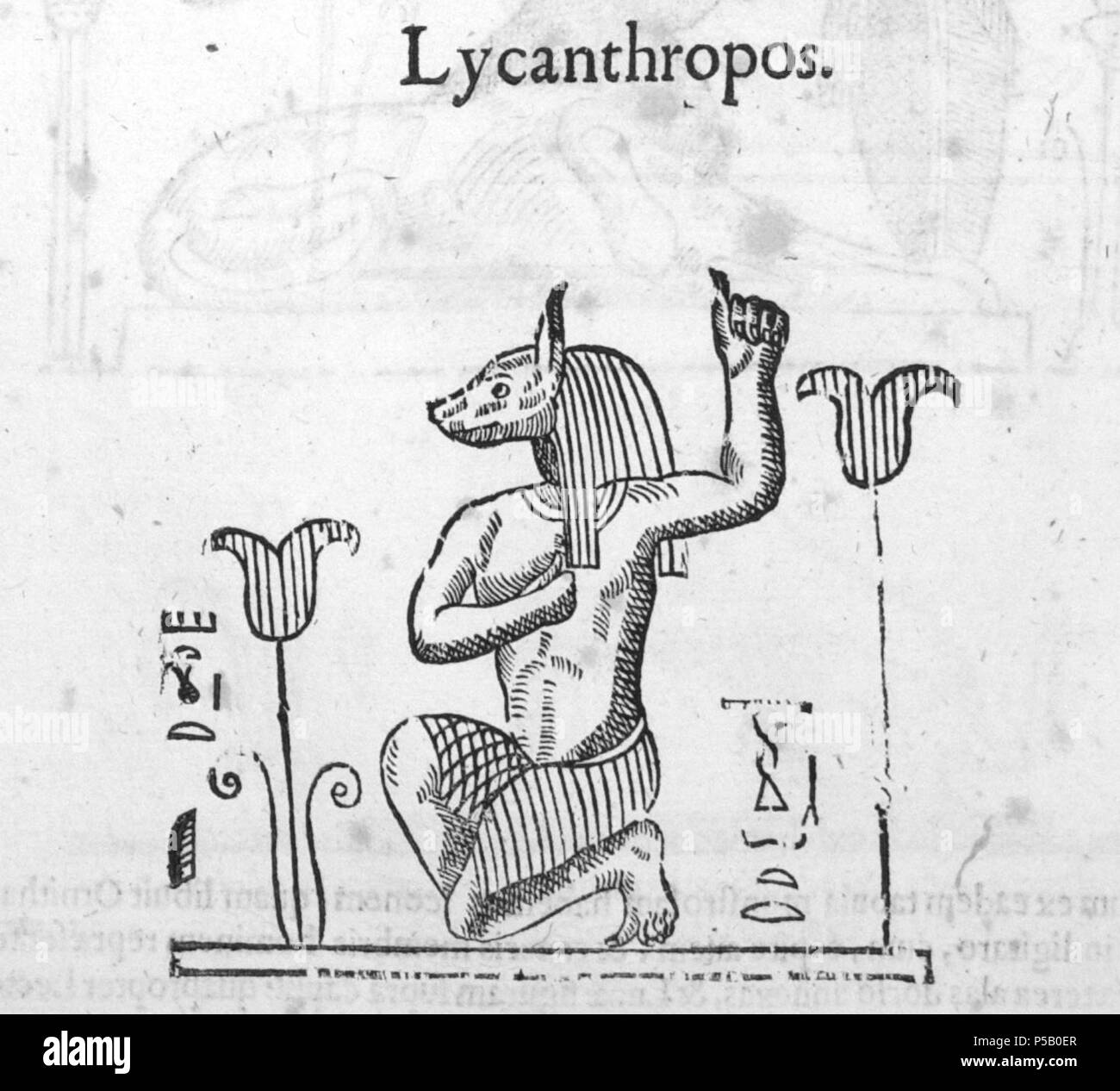 Lycanthrope hi-res stock photography and images - Alamy