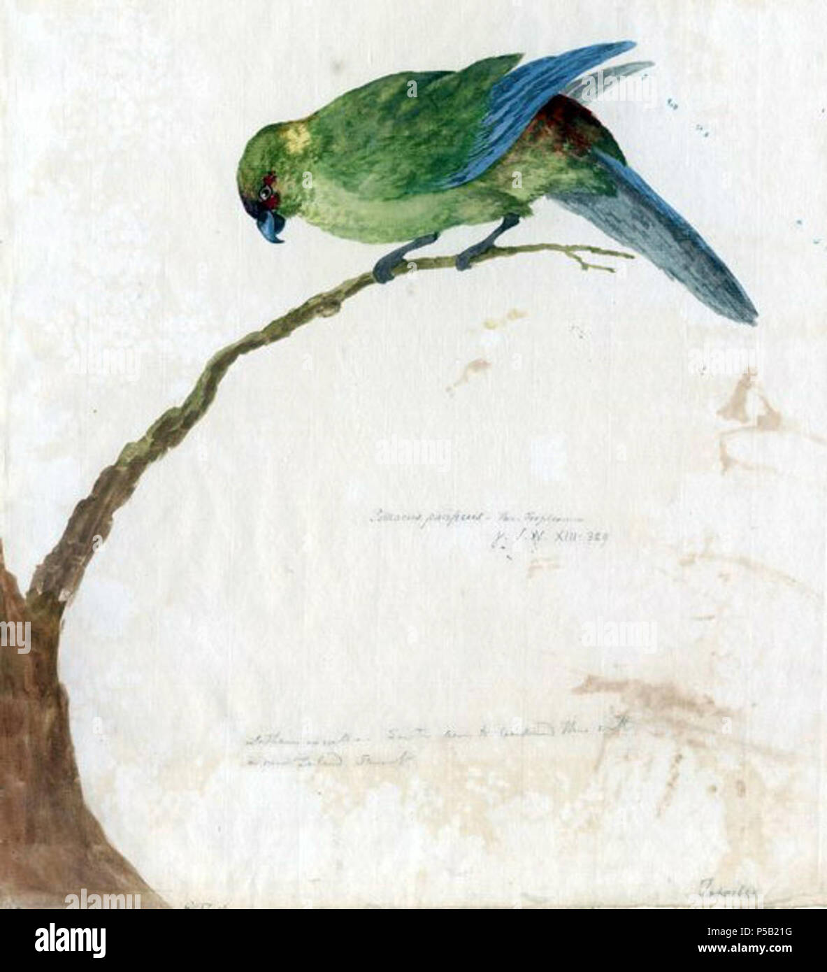 James cooks second voyage hi-res stock photography and images - Alamy