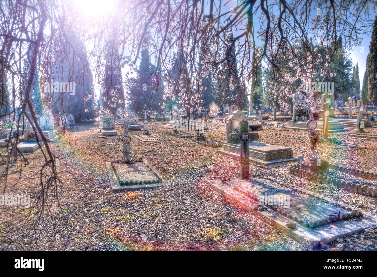 Scene cemetery hi-res stock photography and images - Alamy