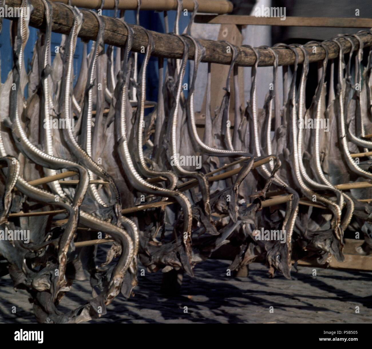 SECADERO DE PESCADO. Location: SECADERO DE PESCADO, FARO, PORTUGAL ...