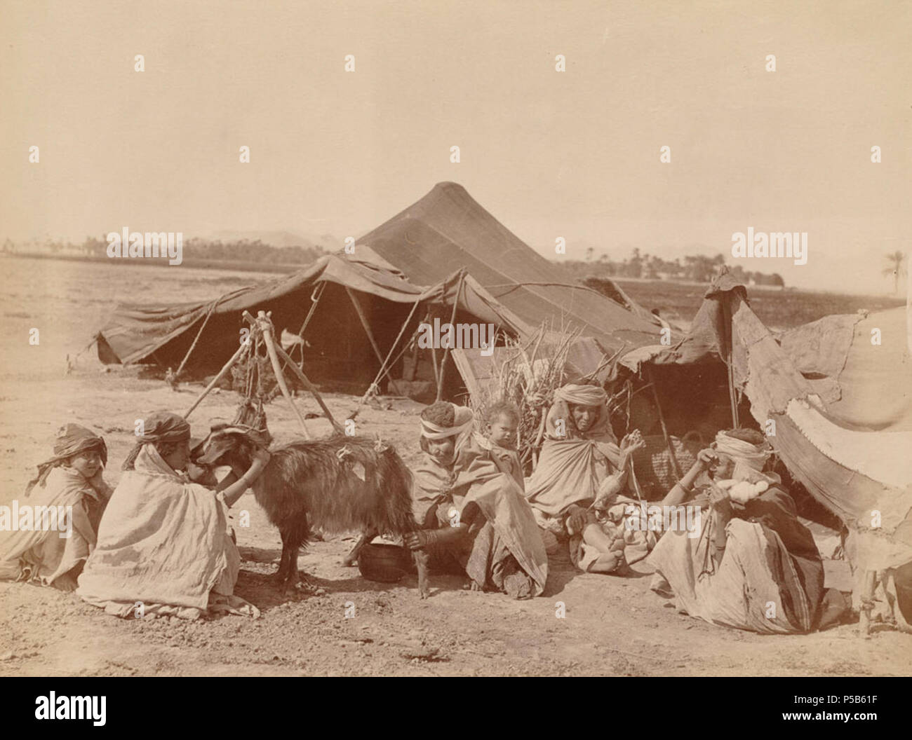 Campement arabe hi-res stock photography and images - Alamy