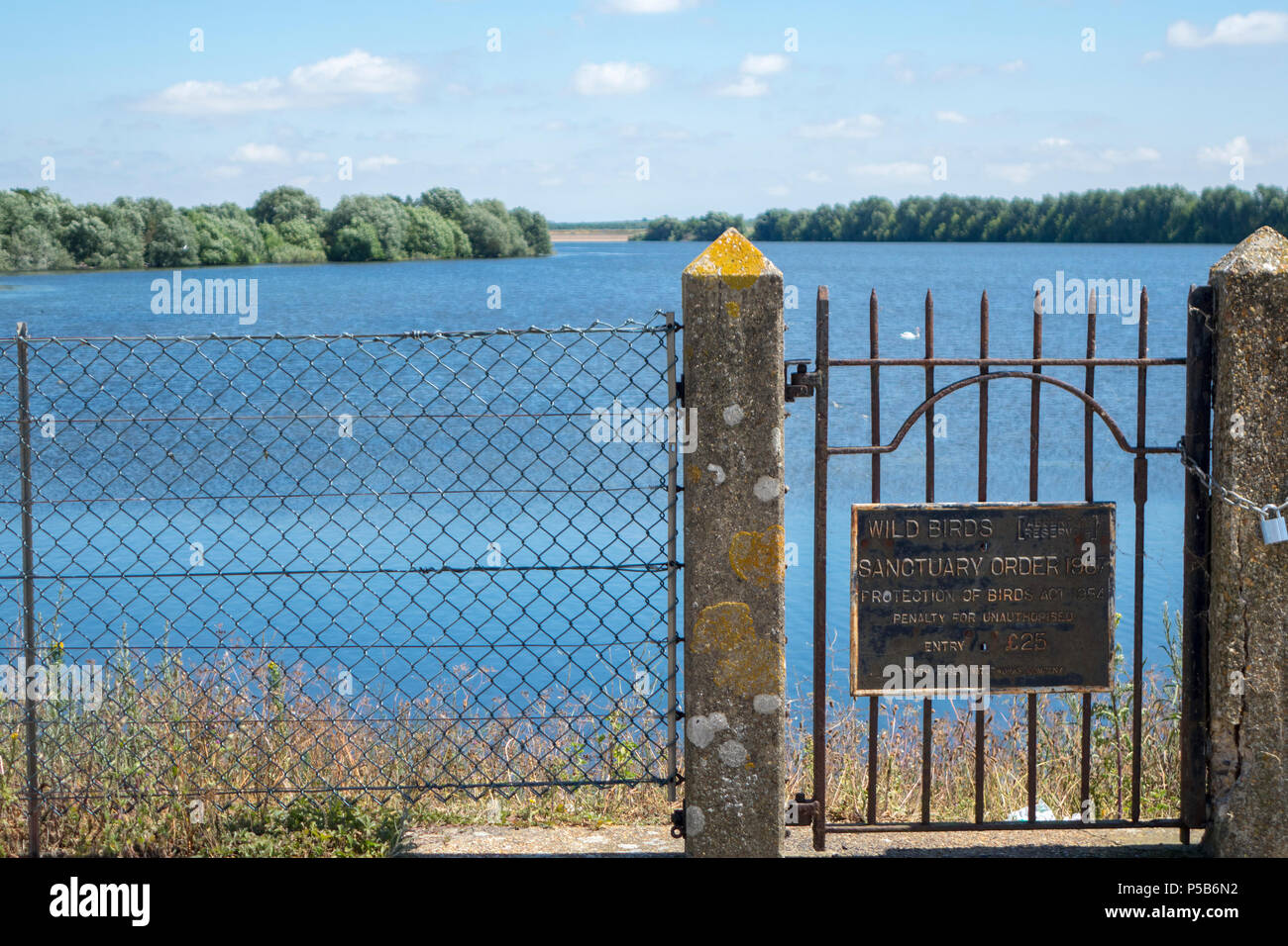 Abberton reservoir hi-res stock photography and images - Alamy