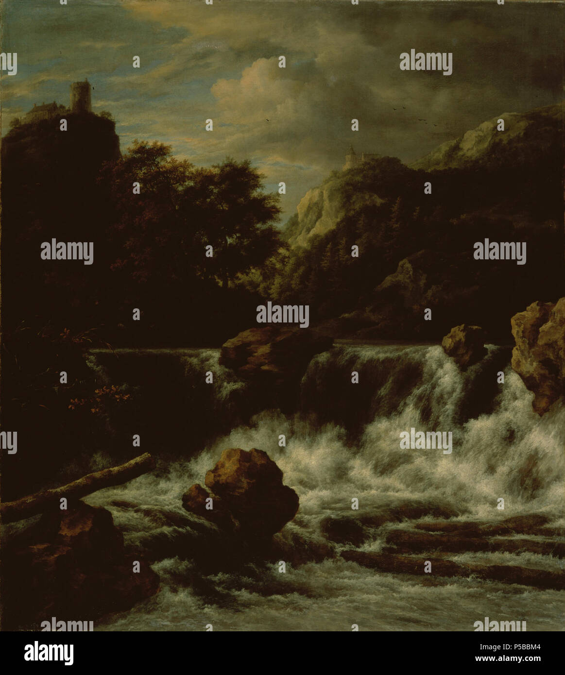 River and trees between two trunks hi-res stock photography and images ...