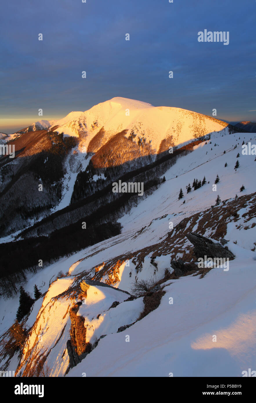 Nature mountain at winter in Slovakia Stock Photo - Alamy