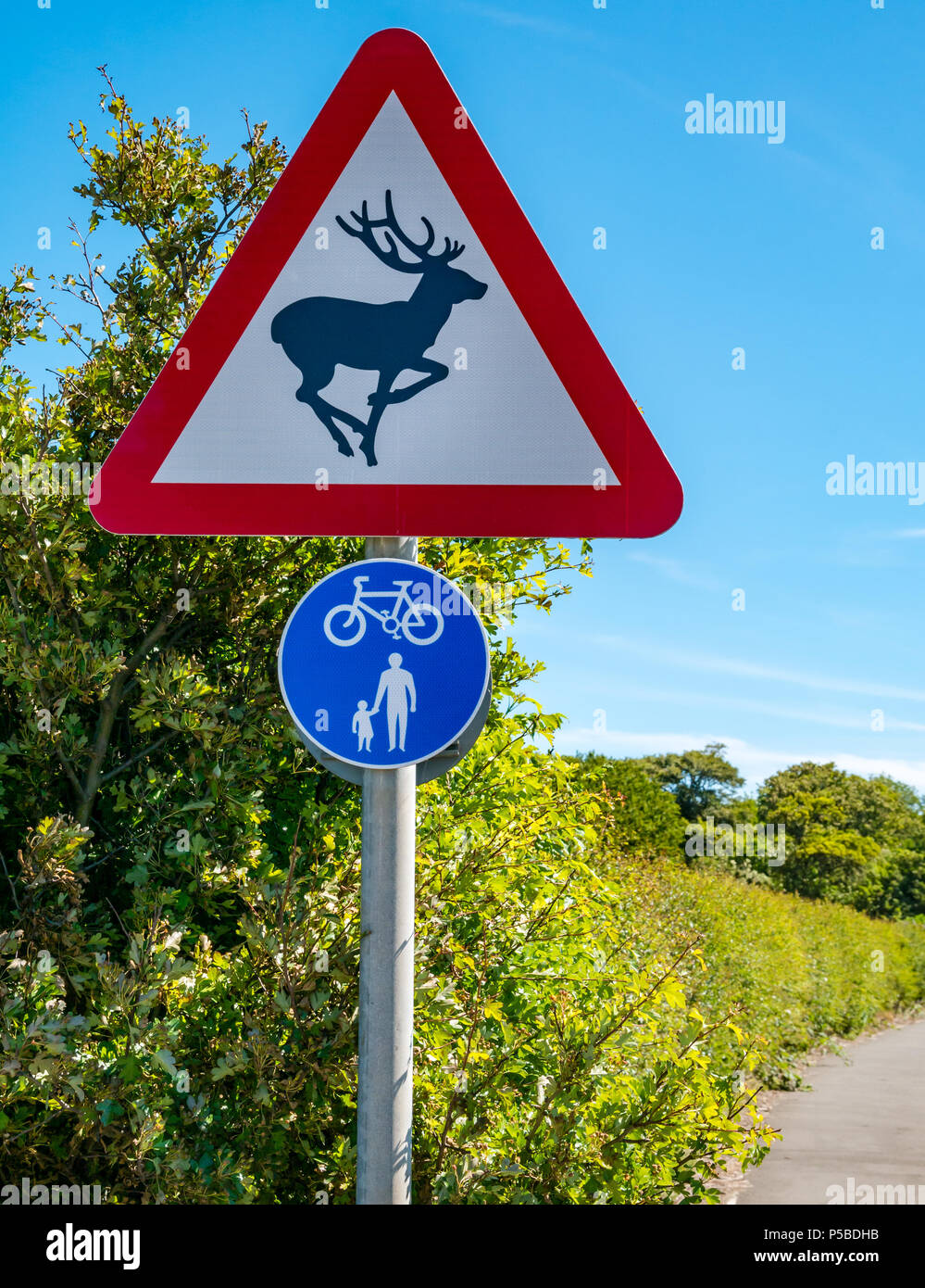 Deer sign hi-res stock photography and images - Alamy