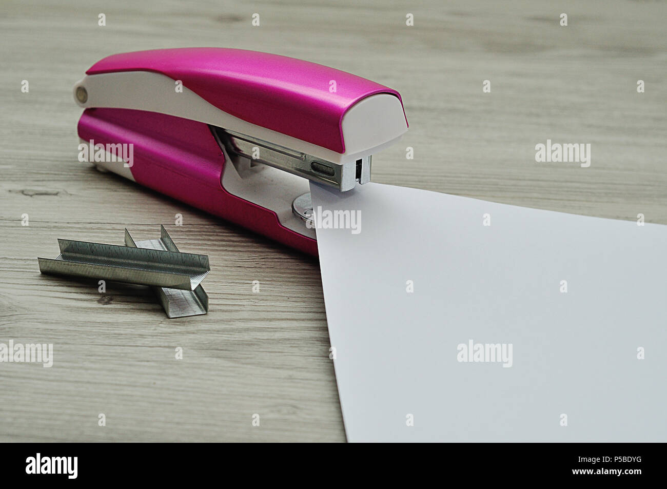 A pink stapler with papers and a pile of staplers on a table Stock ...