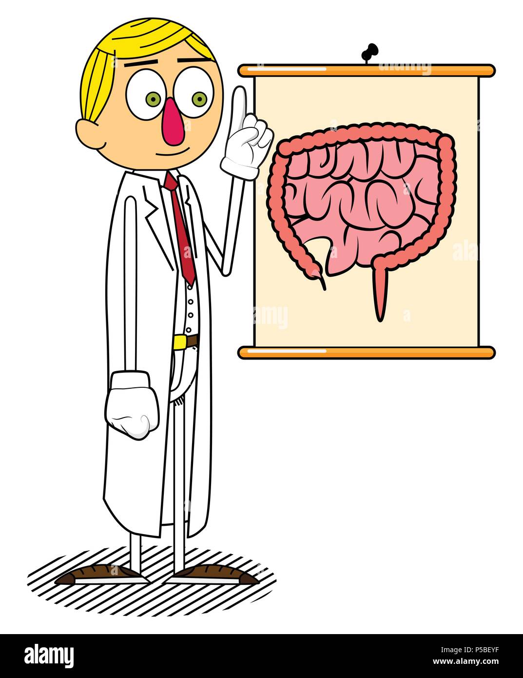 Doctor explaining the intestine. Vector cartoon character, health ...