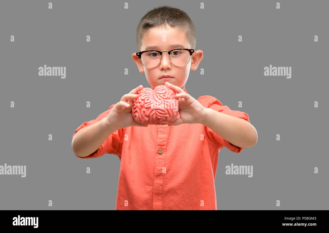 Dark haired little child with glasses holding a brain with a confident ...