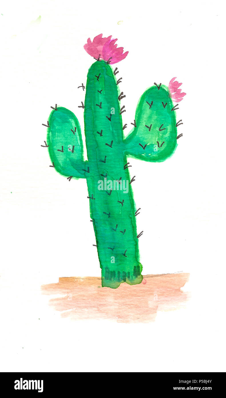 Hand drawn cactus design Cut Out Stock Images & Pictures - Alamy