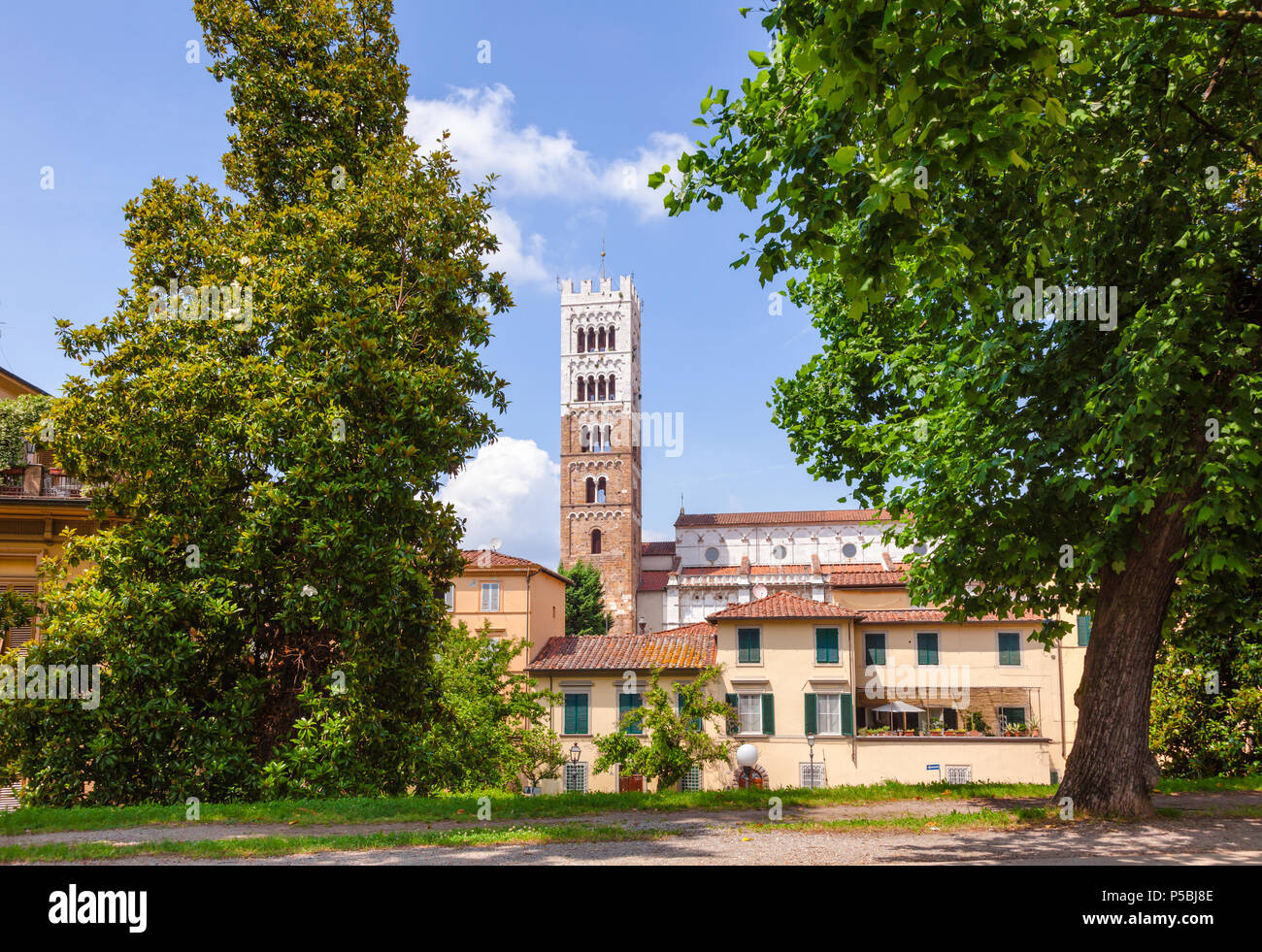 Lucca cityscape from old town walls park with Lucca Cathedral (Duomo di ...