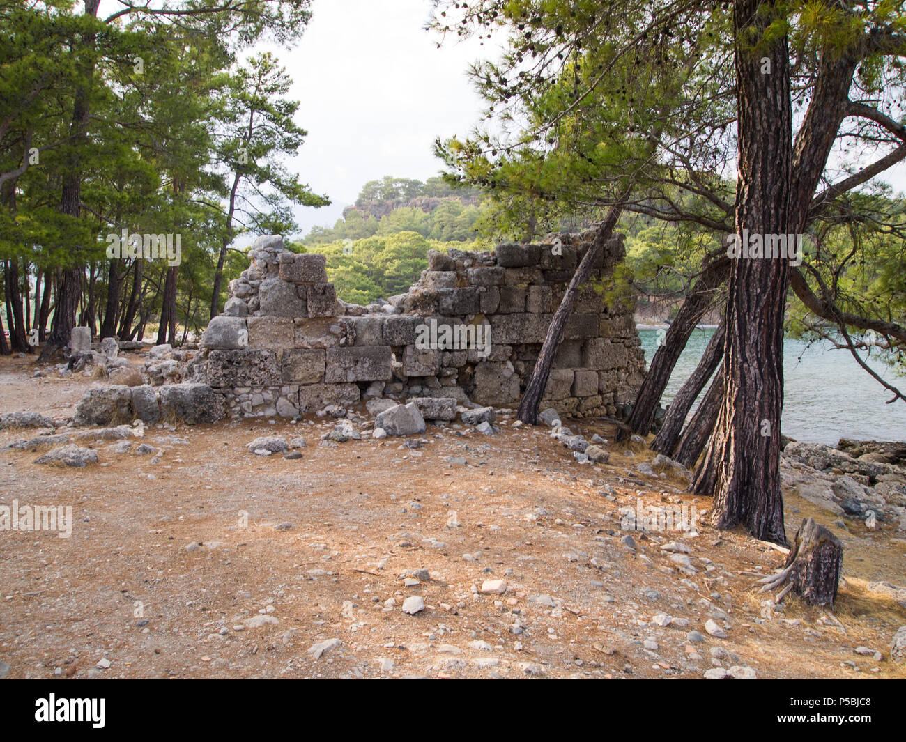 Phaselis, Turkey, beautiful ancient greek ruins in pine forest, old ...