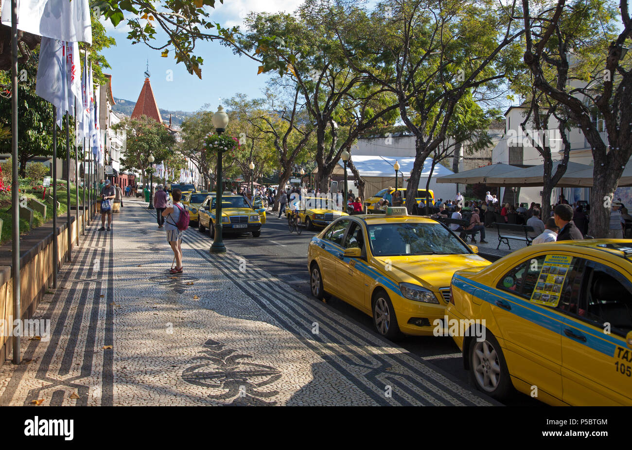 Avenida arriaga in funchal hi-res stock photography and images - Alamy