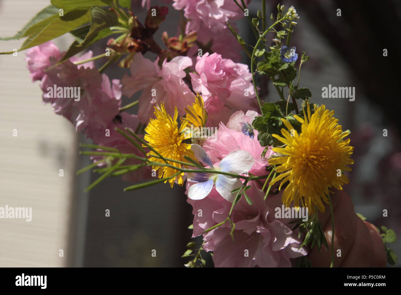 Small bouquet of spring flowers Stock Photo - Alamy