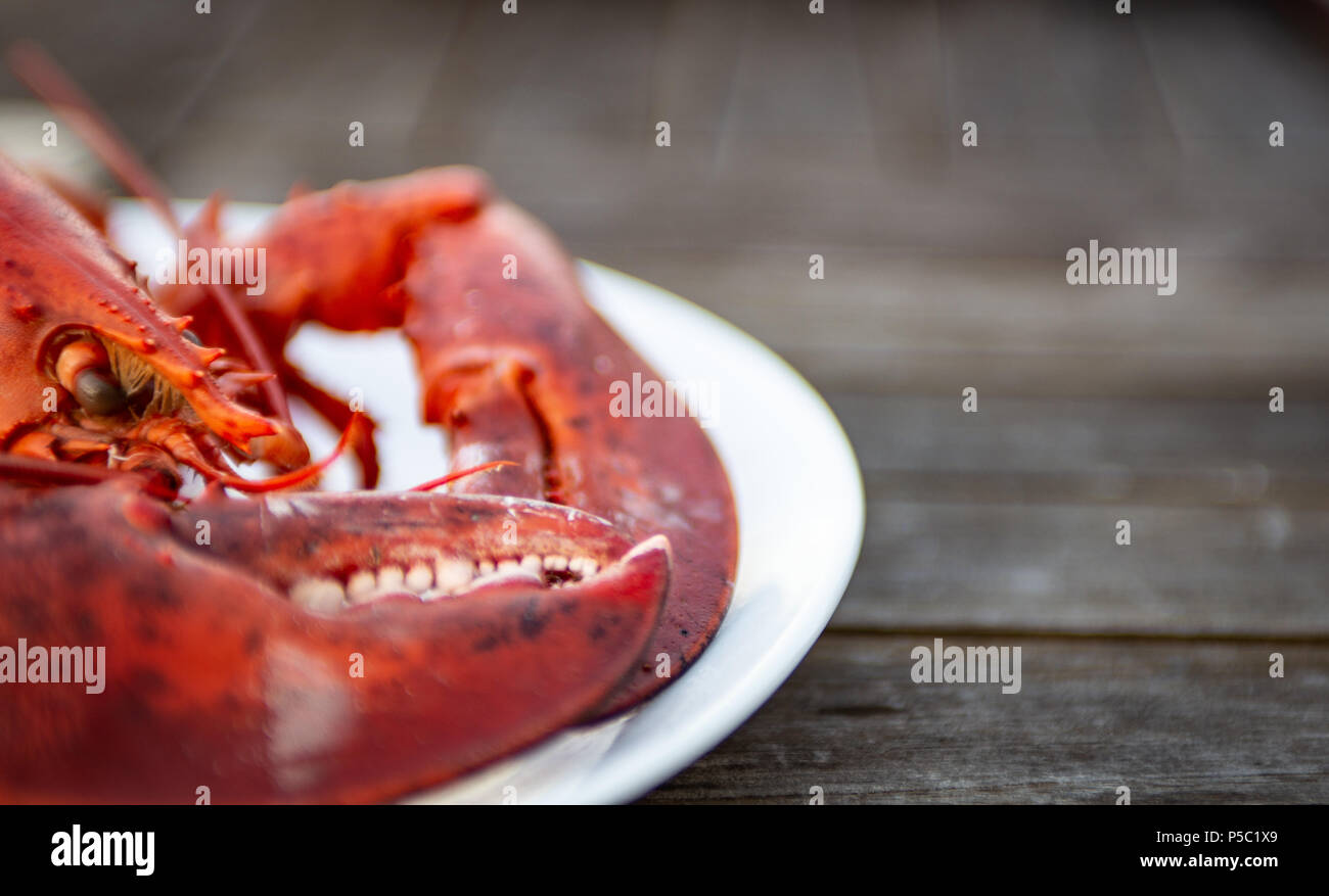 Single lobster tail hi-res stock photography and images - Alamy