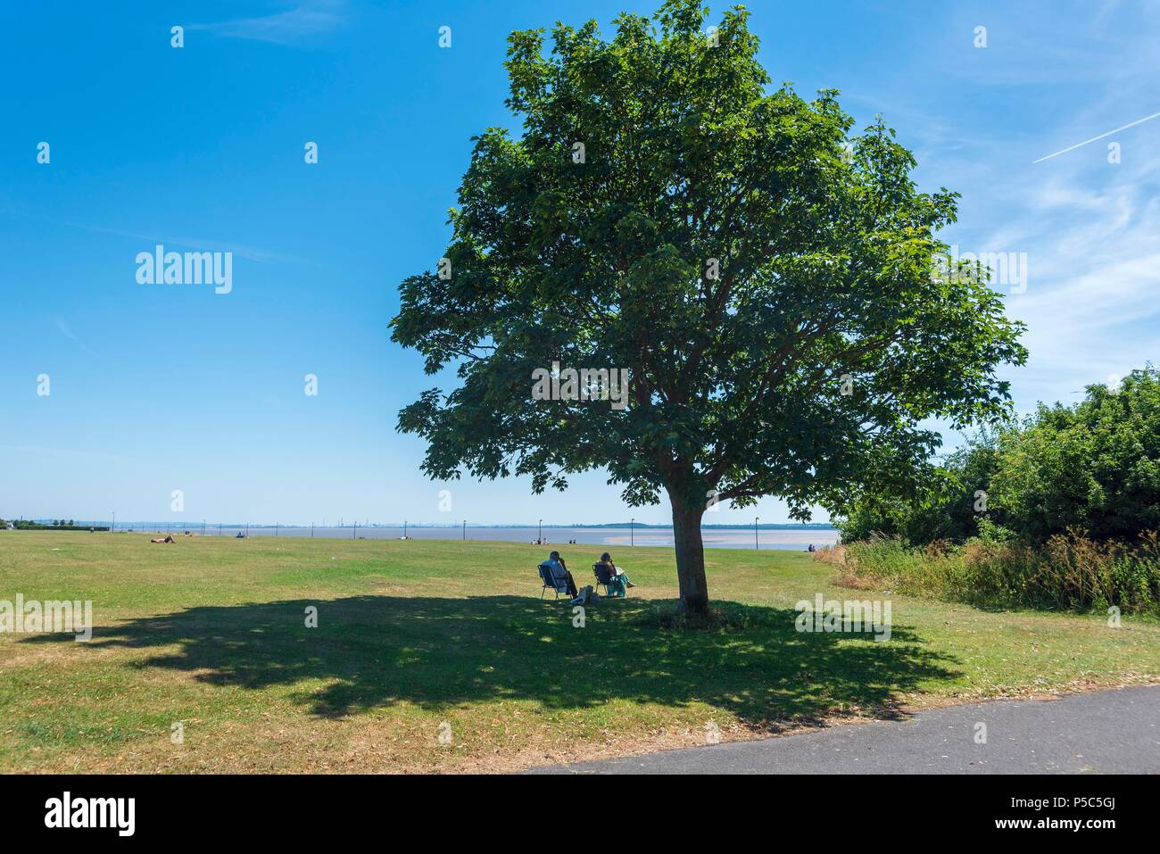 Otterspool promenande hi-res stock photography and images - Alamy