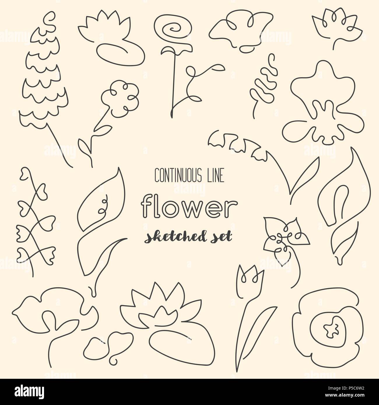 continuous line flower drawing set Stock Vector Image & Art - Alamy