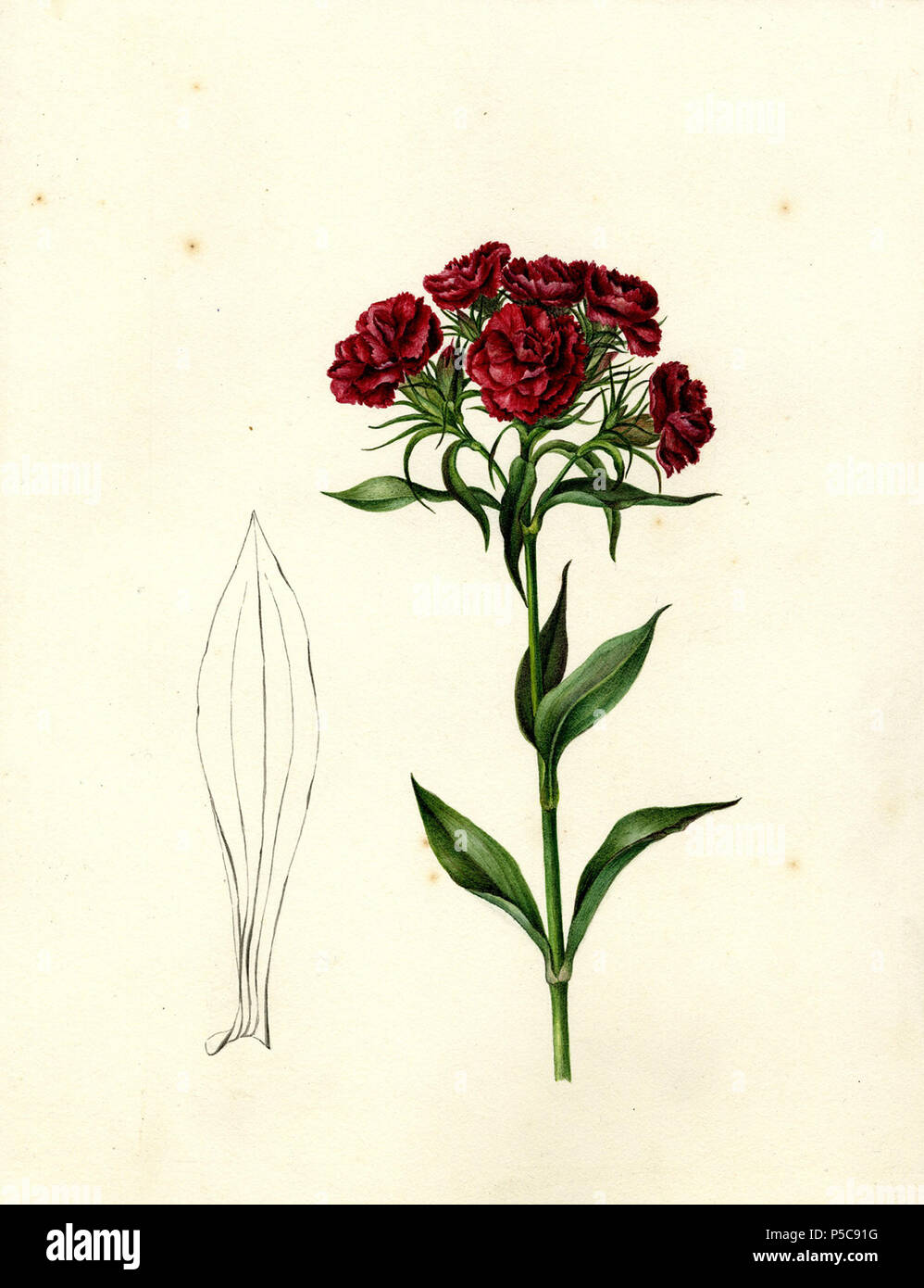 N/A. English: From a collection of 86 paintings 'once in the holdings ...