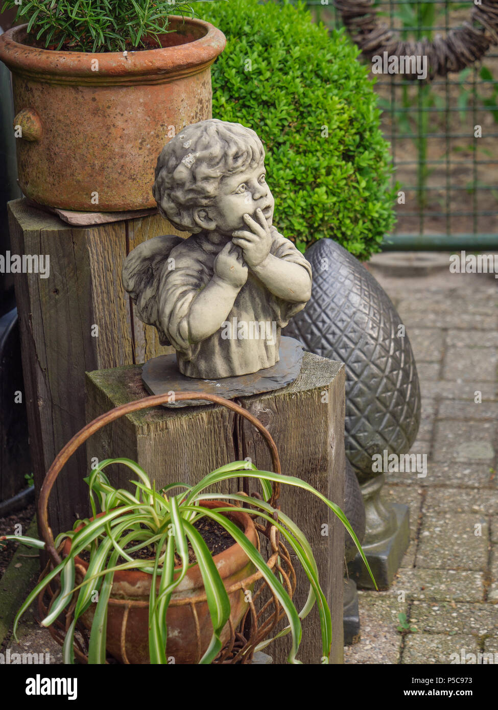 summer in a german garden Stock Photo - Alamy
