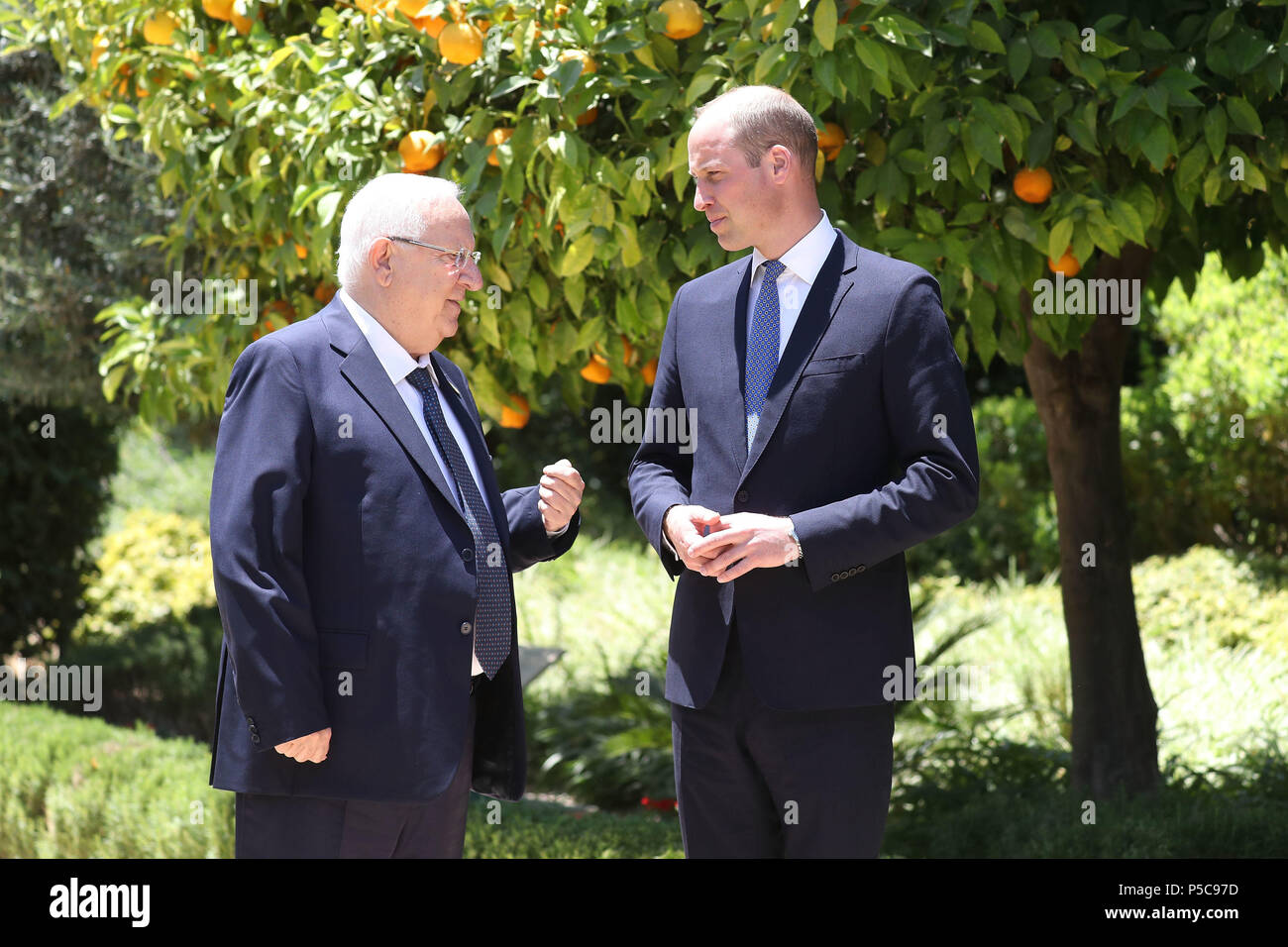 The Duke of Cambridge during his audience with Israeli President Reuven Rivlin at his official ...