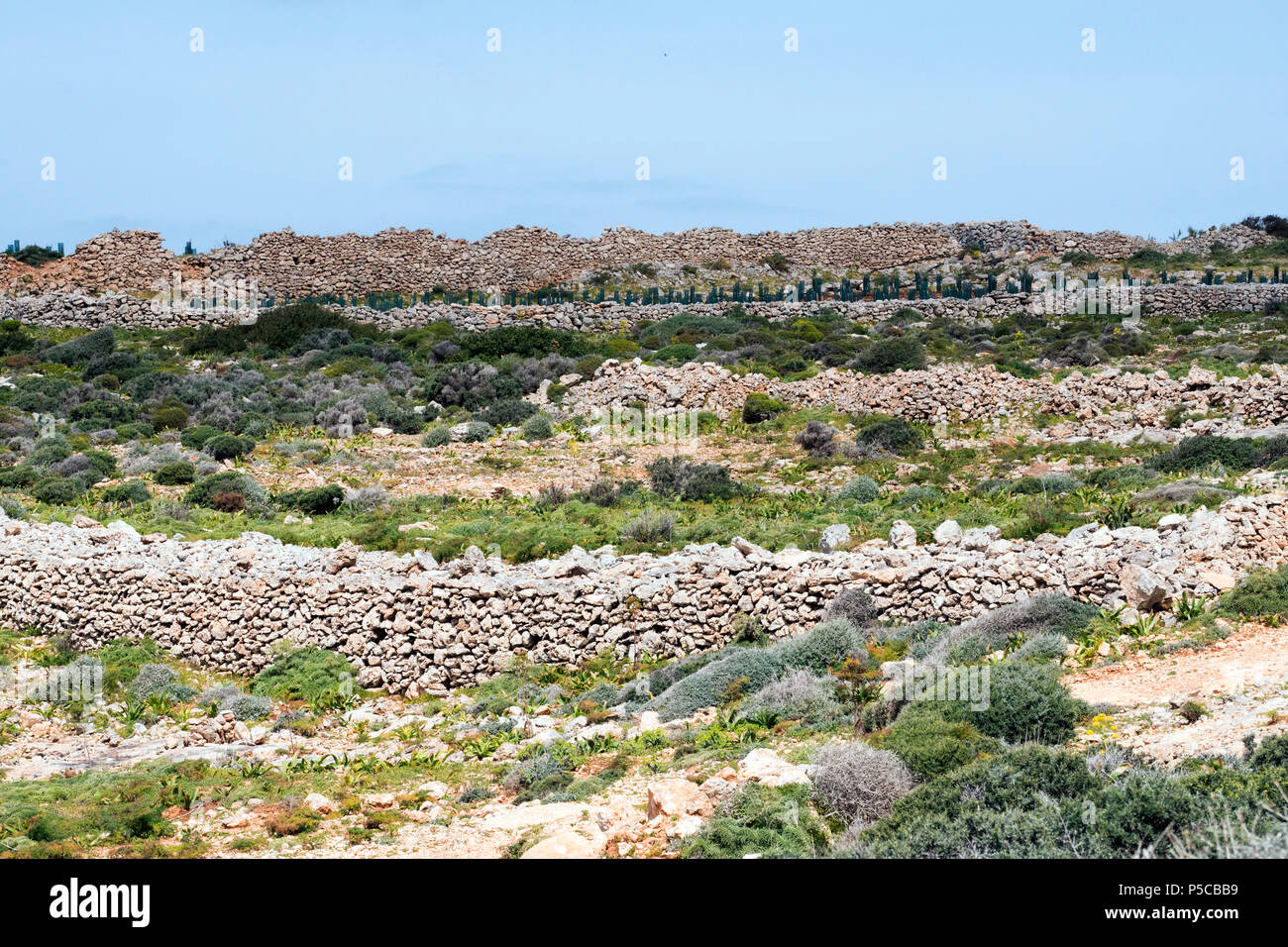 Comino kemmuna hi-res stock photography and images - Alamy