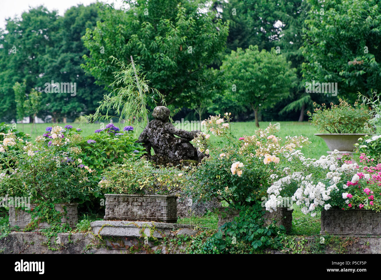 Green scene in public park, trees flowers and garden environment Stock ...