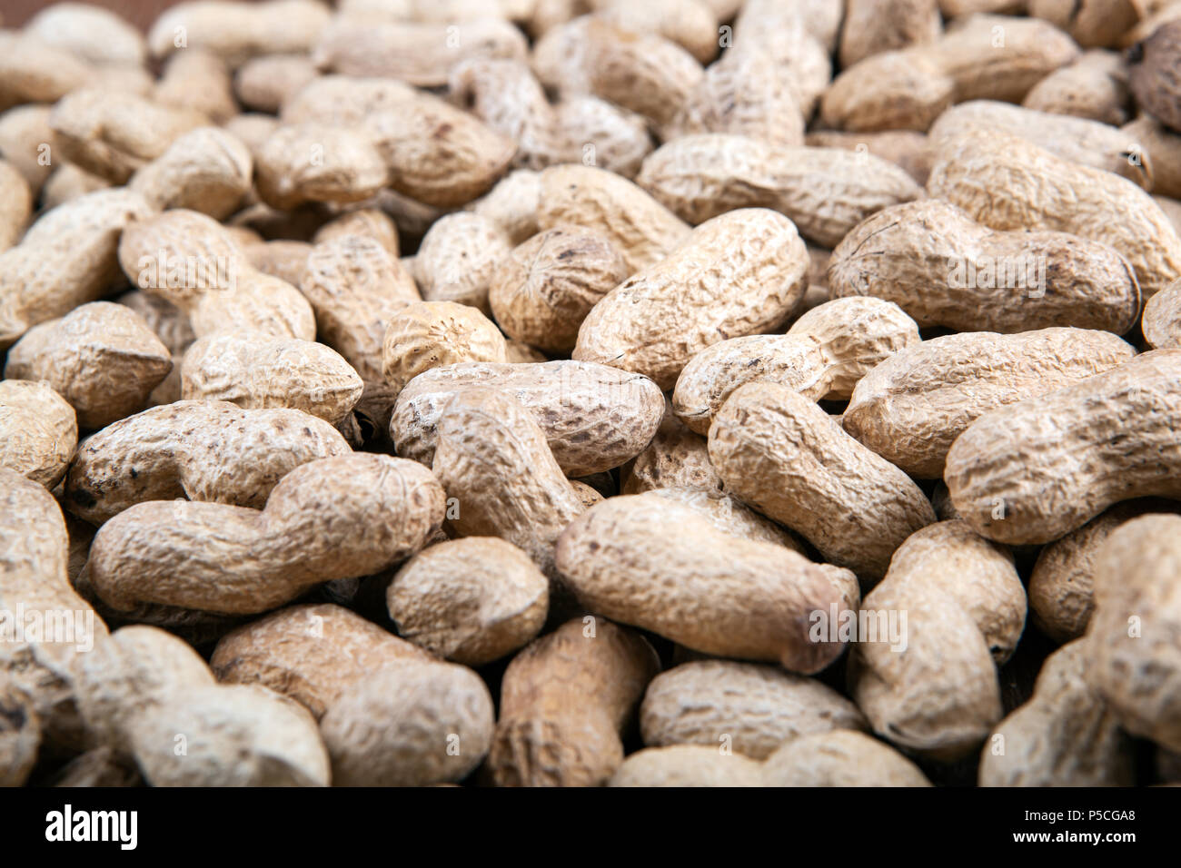 large grains of peanuts in the shell close up Stock Photo - Alamy
