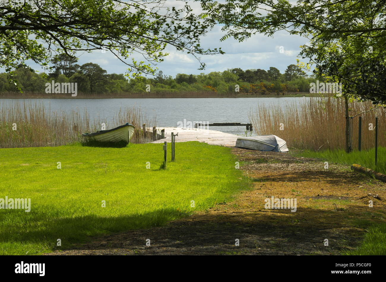 Irish lake in Clare in Summer Stock Photo - Alamy