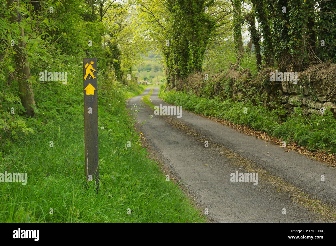 Typical irish country road hi-res stock photography and images - Alamy