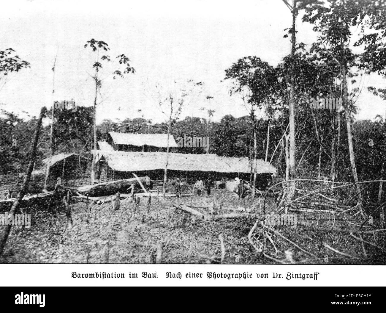 N/A. English: Barombi station (Cameroon) under construction Deutsch ...