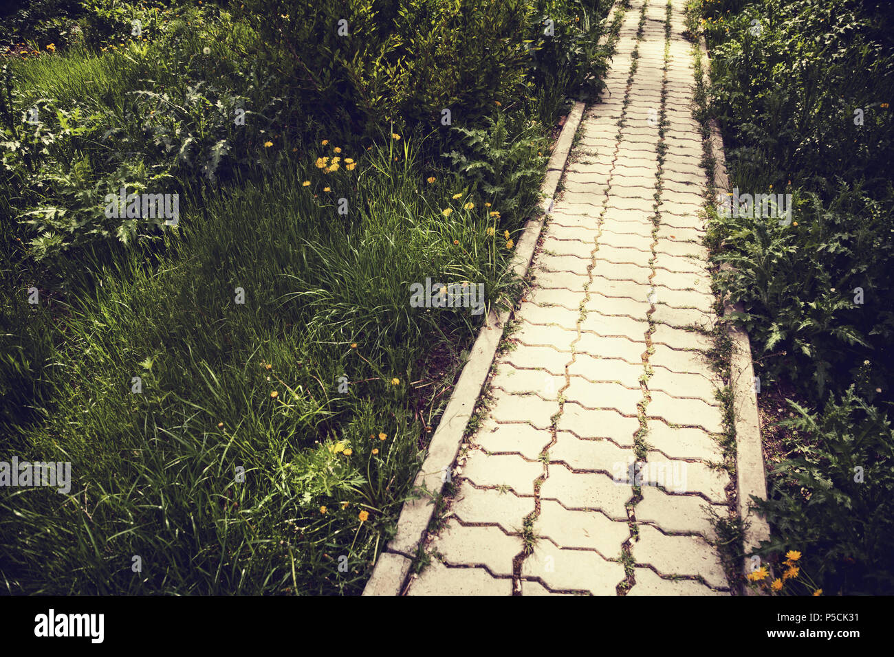 Paved Brick Road High Resolution Stock Photography and Images - Alamy