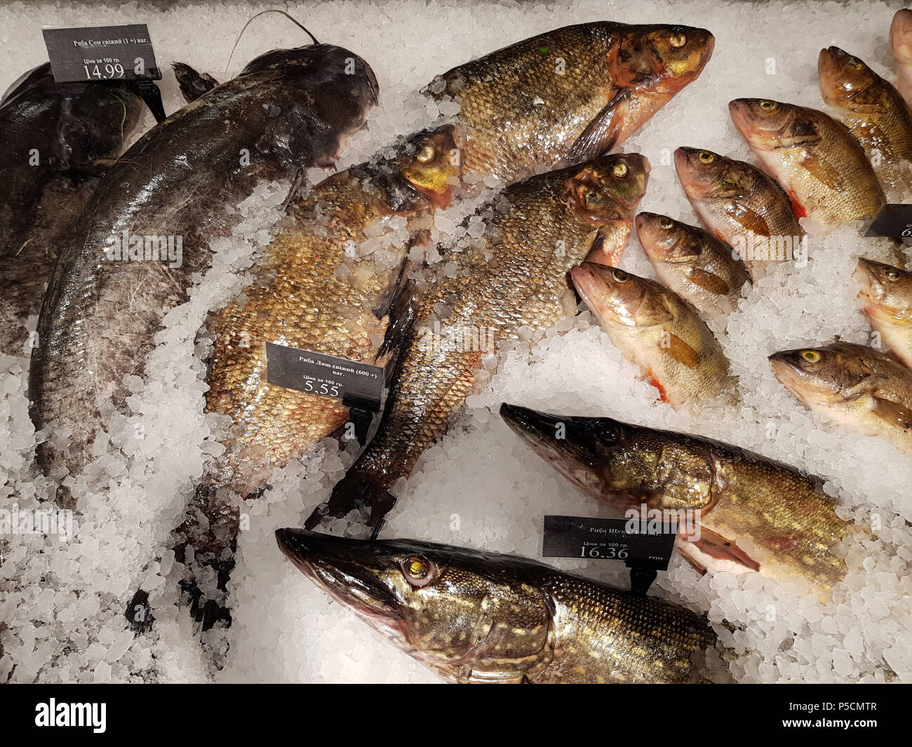 Varieties For Cooking Fish