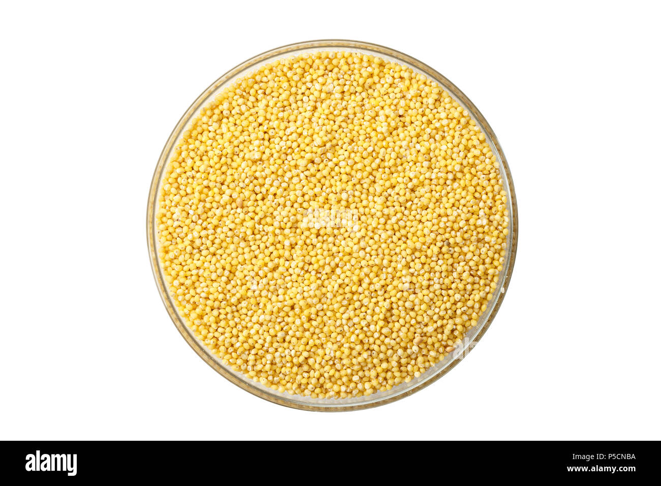 raw millet cereal in a plate on a white background, isolated Stock ...