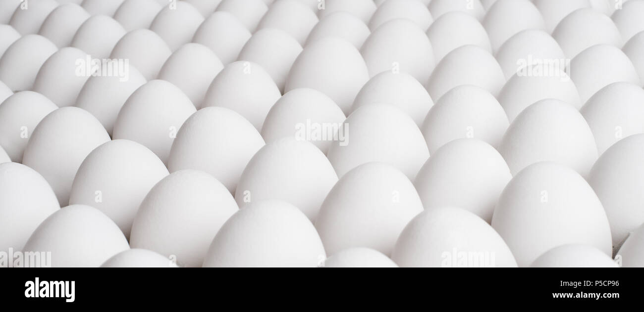 great many white new-laid eggs, horizontal photo Stock Photo - Alamy