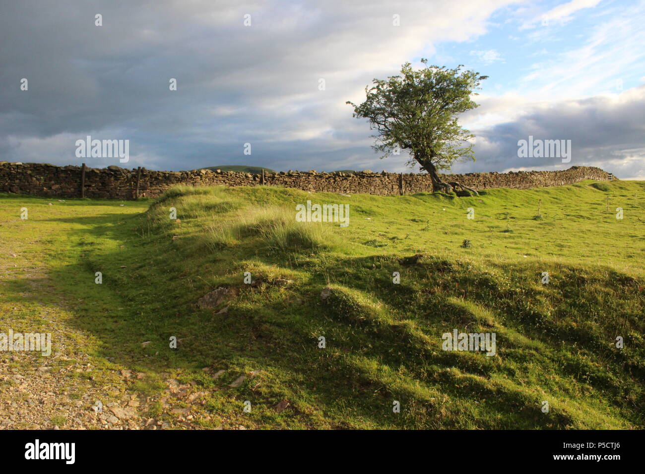 Skyline in summer evening hi-res stock photography and images - Alamy
