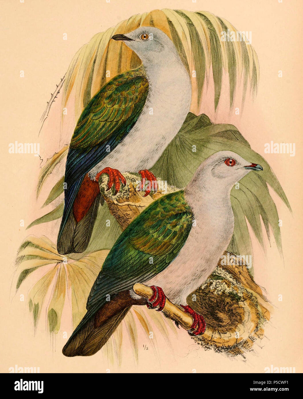 Queue bleue hi-res stock photography and images - Alamy