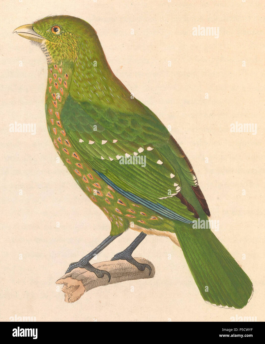 Nicolas huet hi-res stock photography and images - Alamy