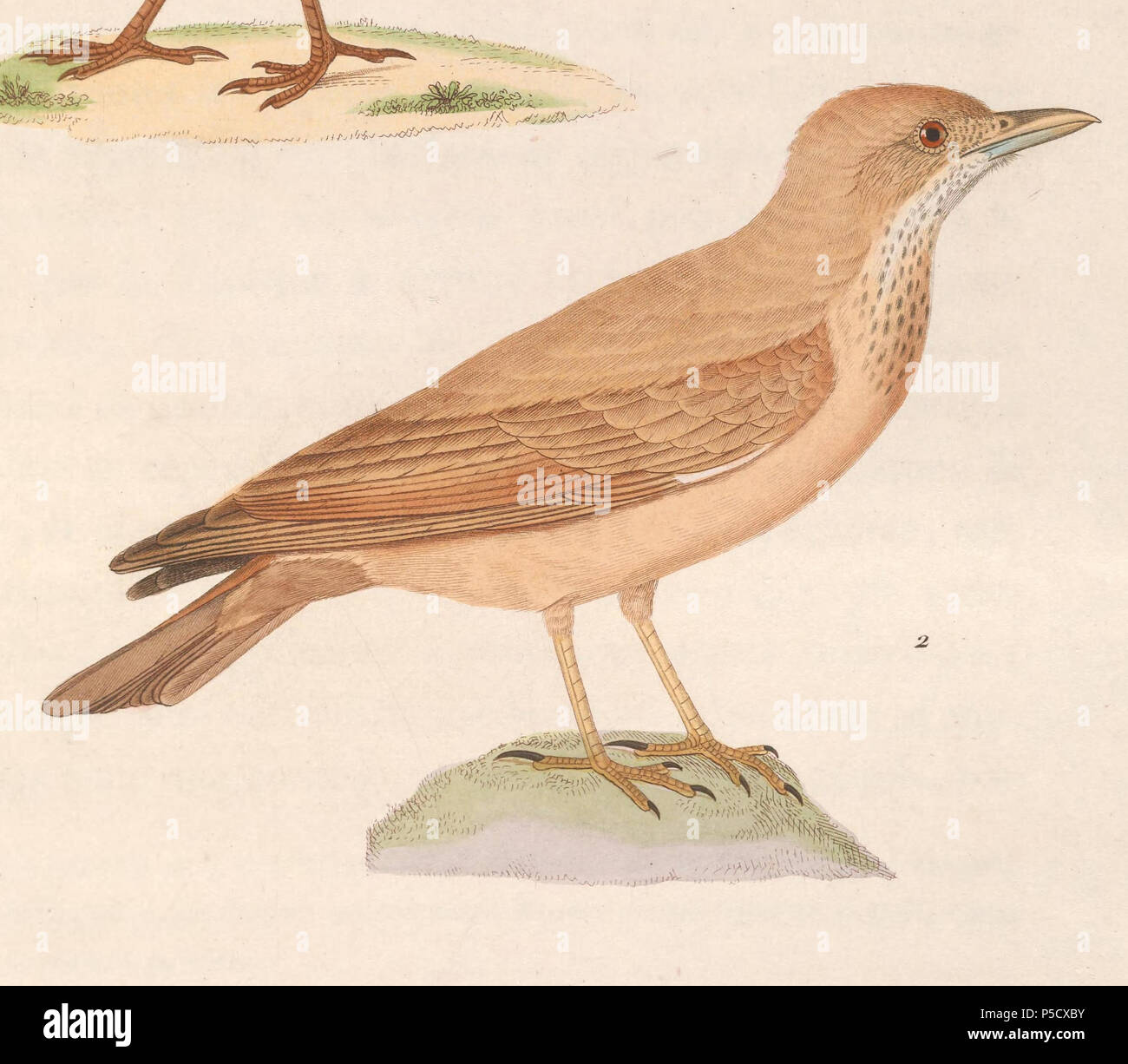 Nicolas huet hi-res stock photography and images - Alamy