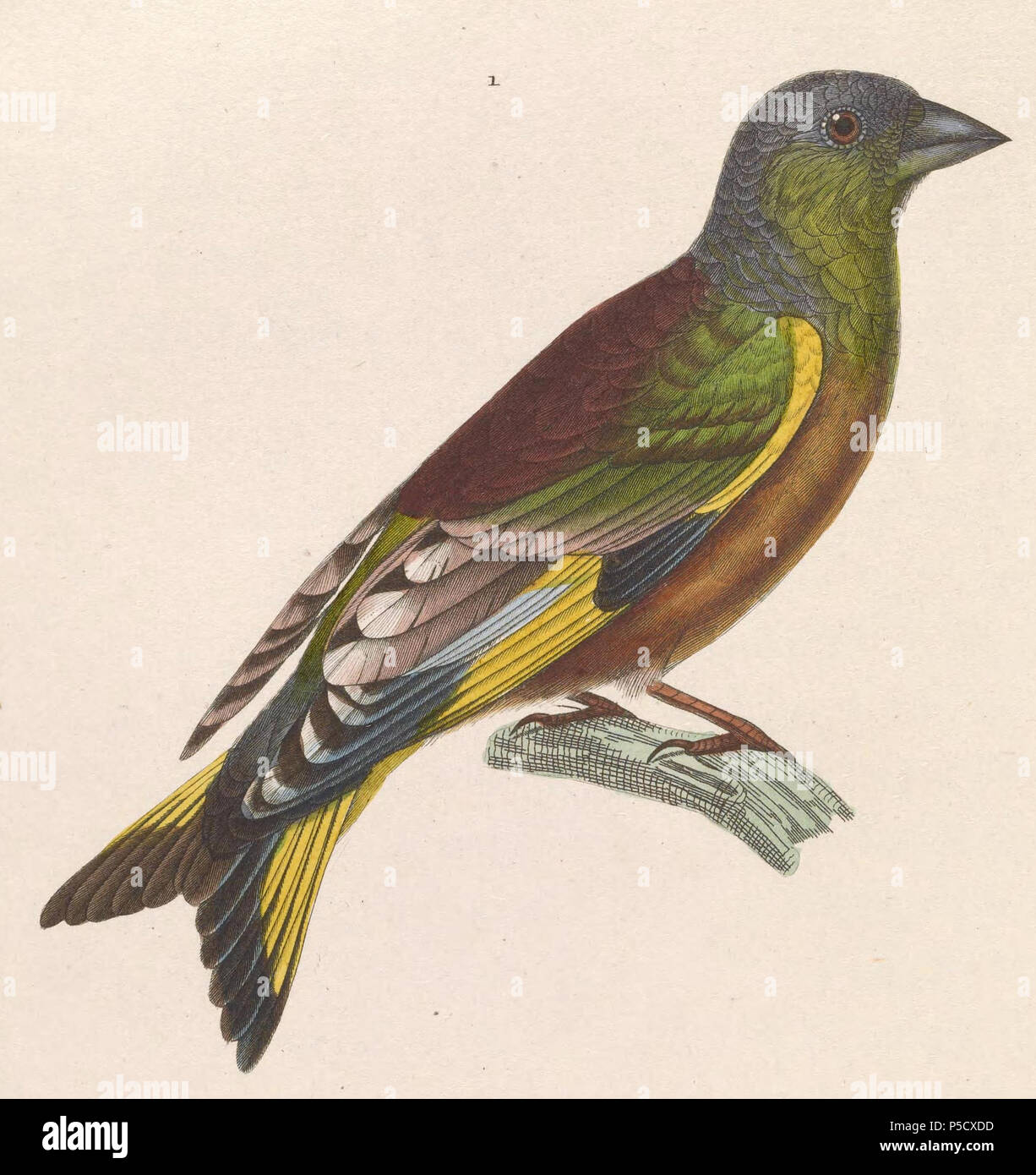 Nicolas huet hi-res stock photography and images - Alamy