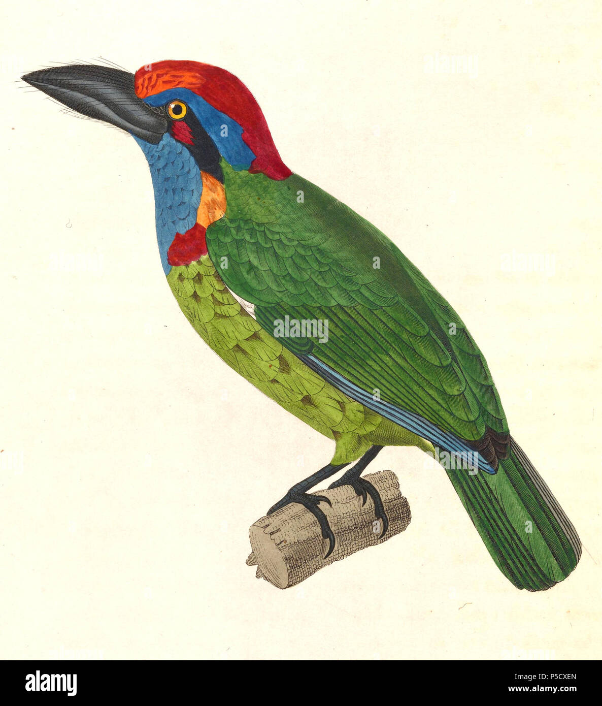 Nicolas huet hi-res stock photography and images - Alamy