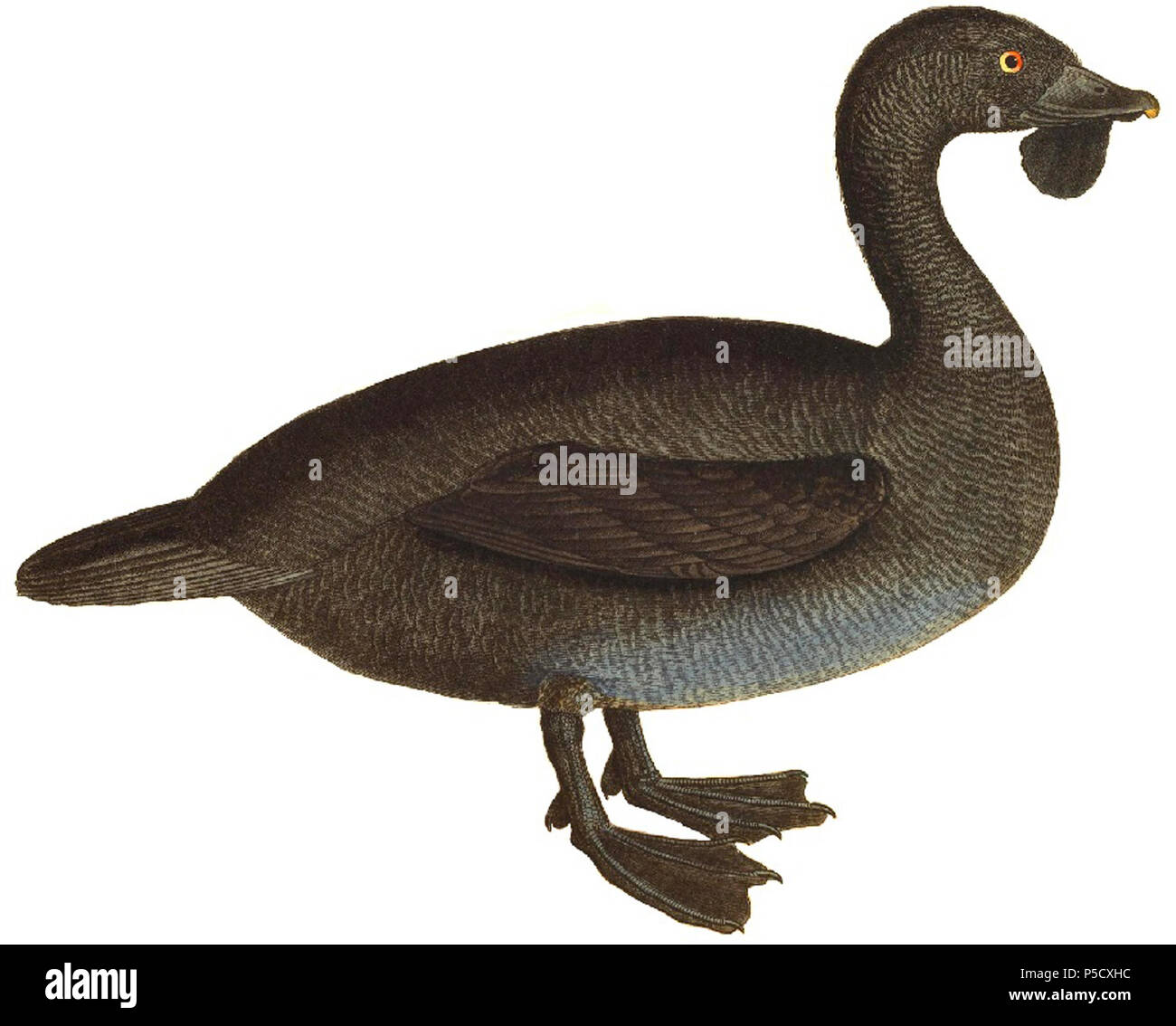 1838 a d Cut Out Stock Images & Pictures - Alamy