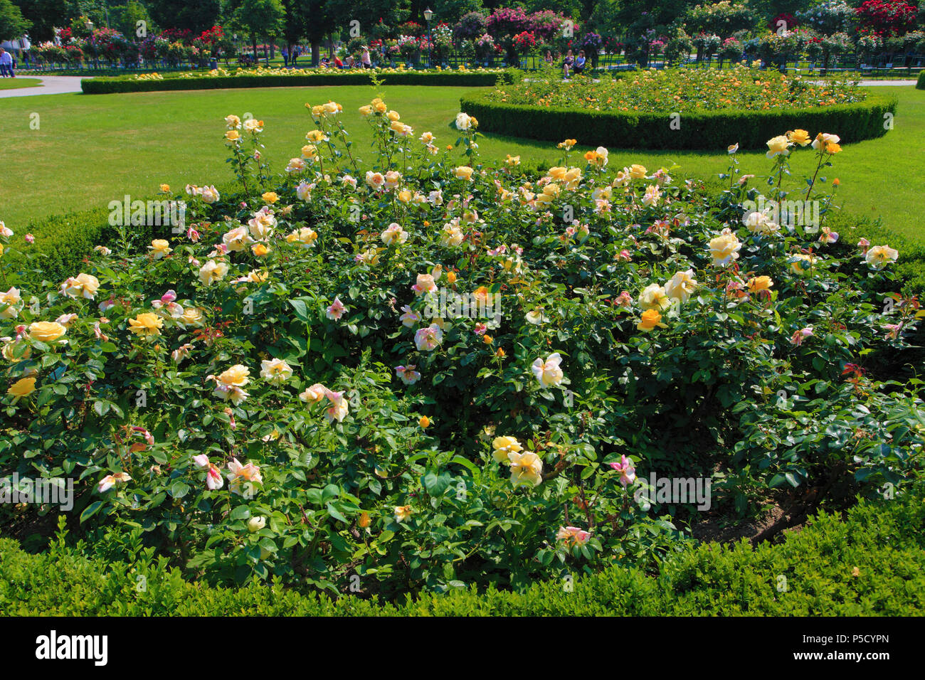 Volksgarten wien hi-res stock photography and images - Alamy