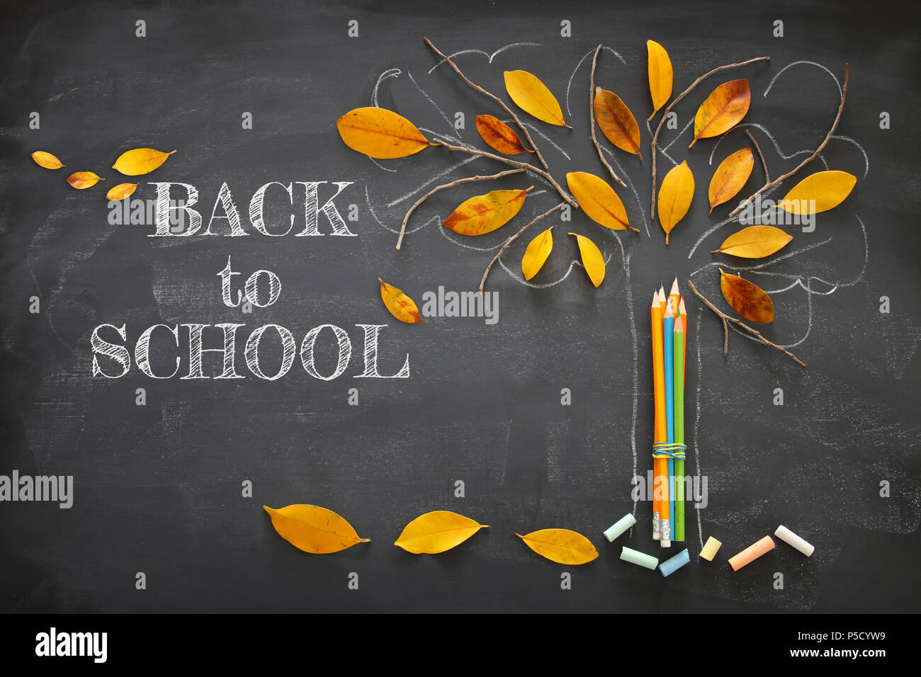 Back to school concept. Top view image of pencils next to tree sketch ...